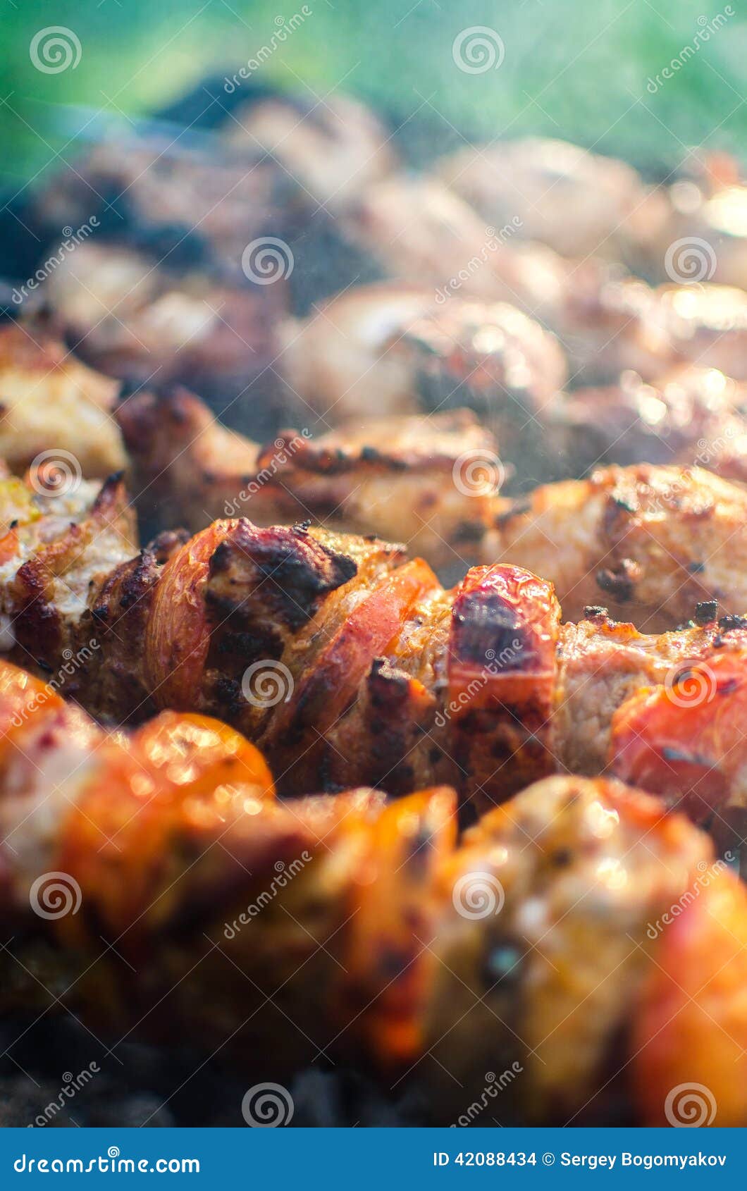 Delicious Barbecue on the Nature Stock Photo - Image of setting, smoke ...
