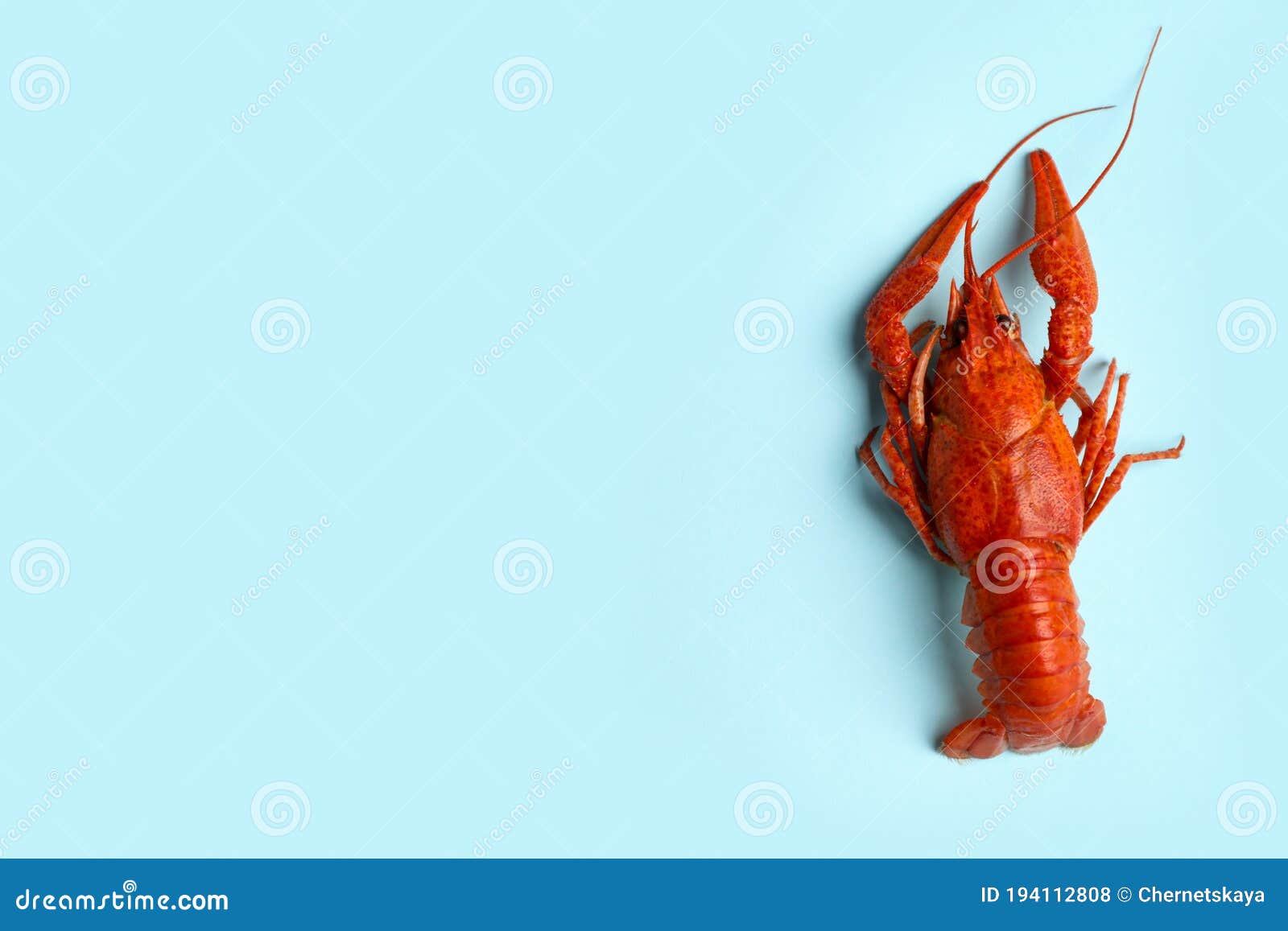 Crayfish Blue Crayfish Blue In The Aquarium Royalty-Free Stock ...
