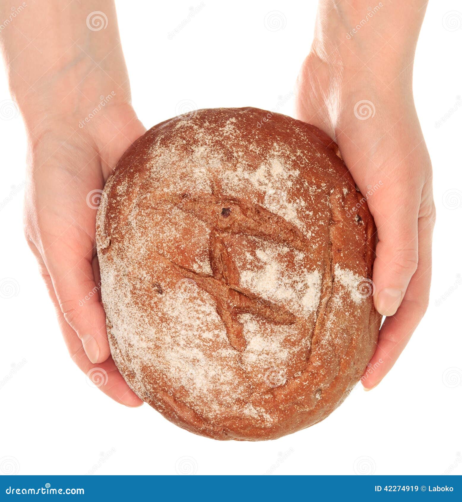 Delicious Bread in Hands stock image. Image of golden - 42274919