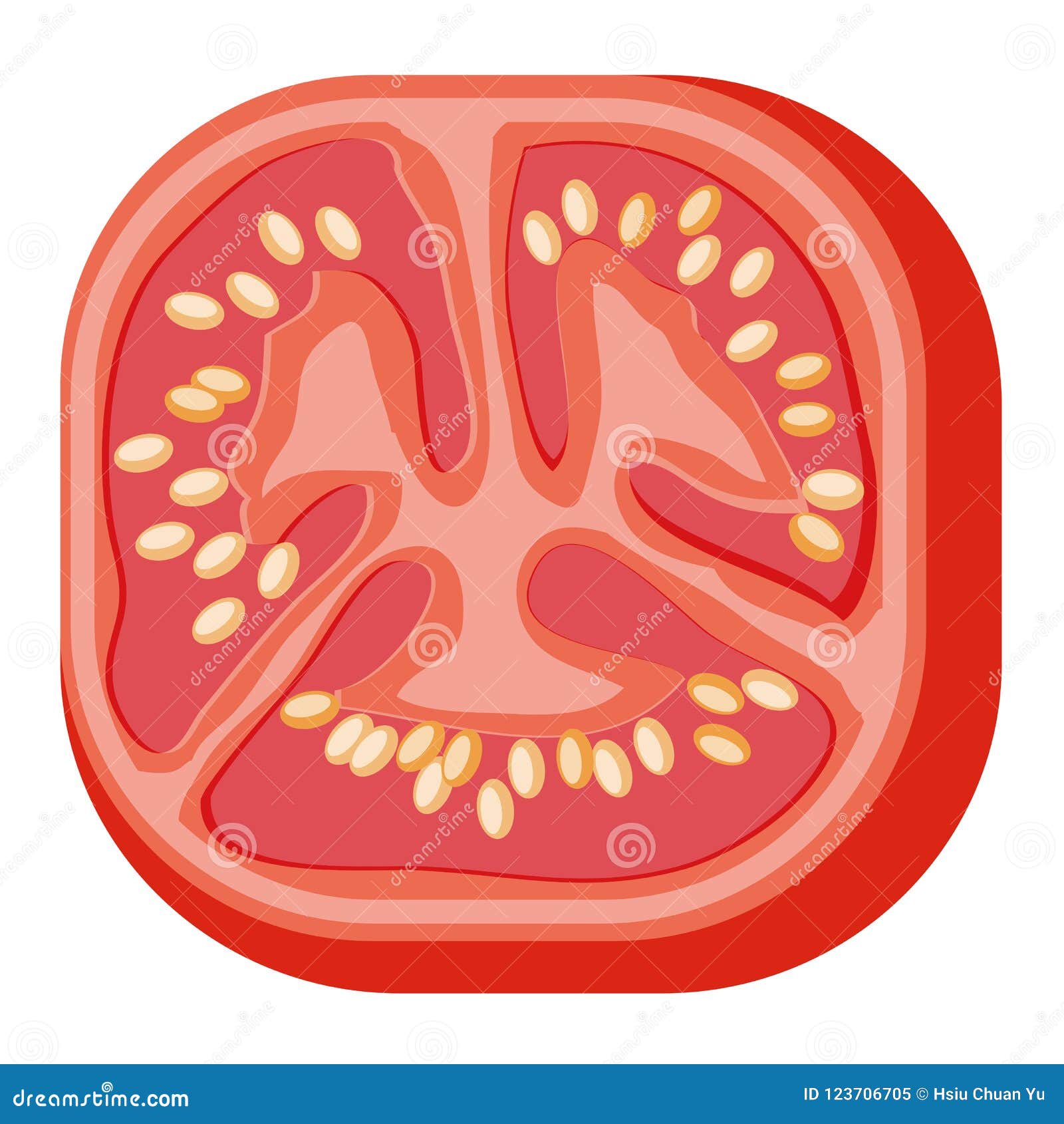 Delicious Breakfast Round Corner Square Icon Tomato Stock Vector ...