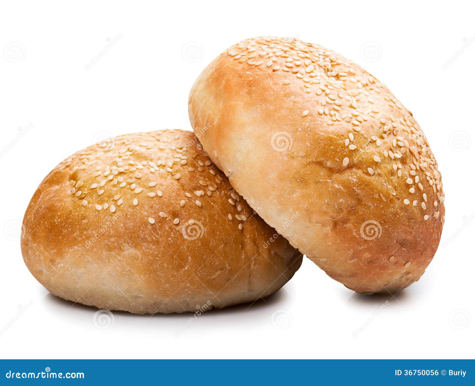 Delicious bun stock photo. Image of macro, baked, roll - 36750056