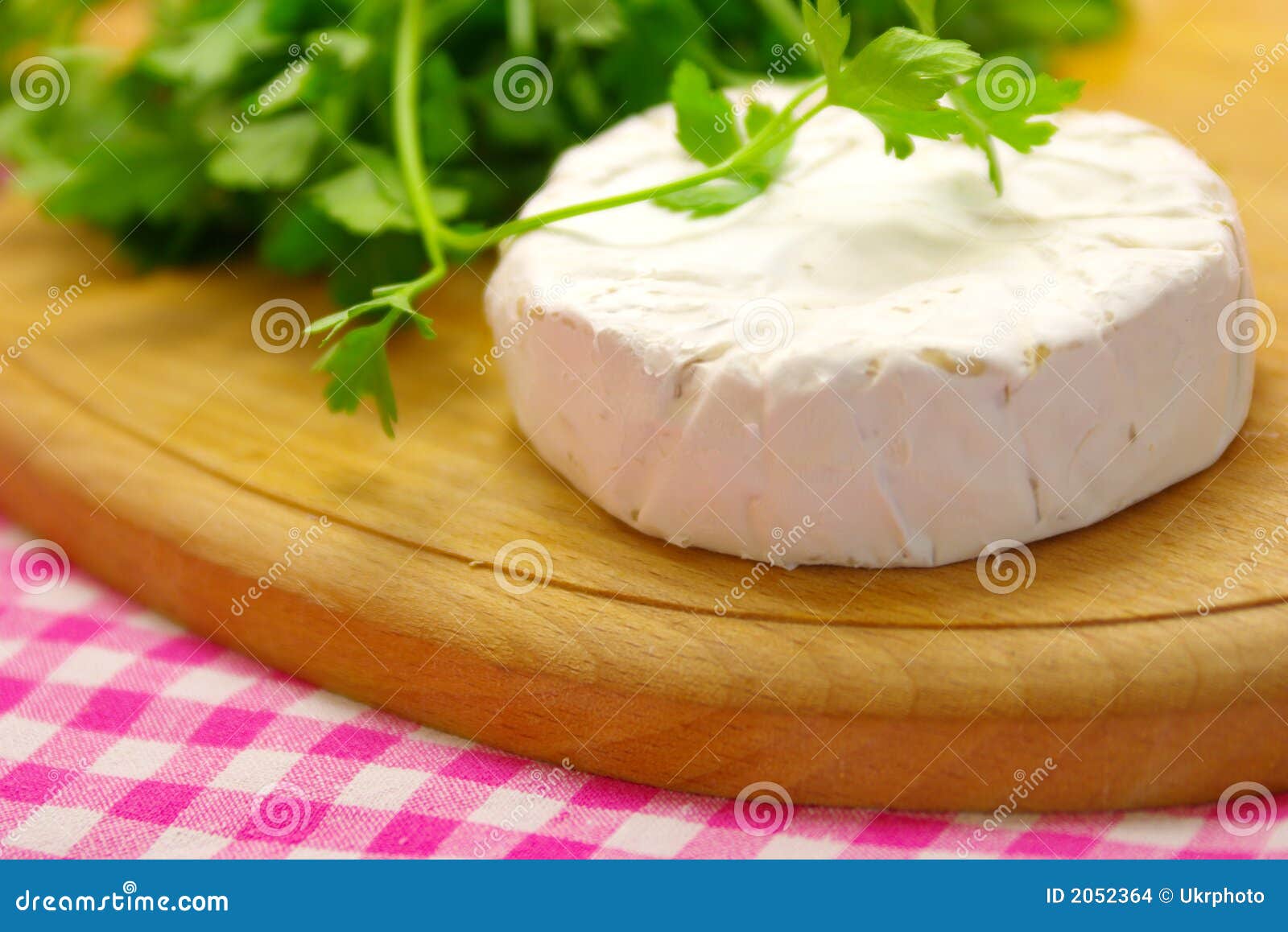 Delicious cheese stock photo. Image of culture, gourmet - 2052364