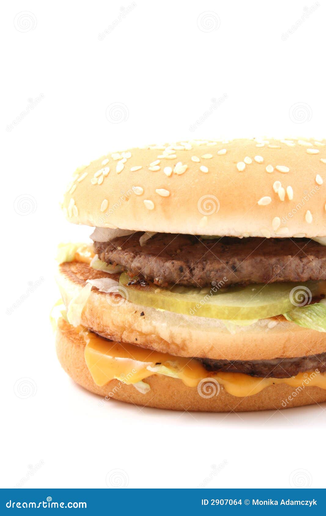 Delicious cheeseburger stock photo. Image of lettuce, food - 2907064