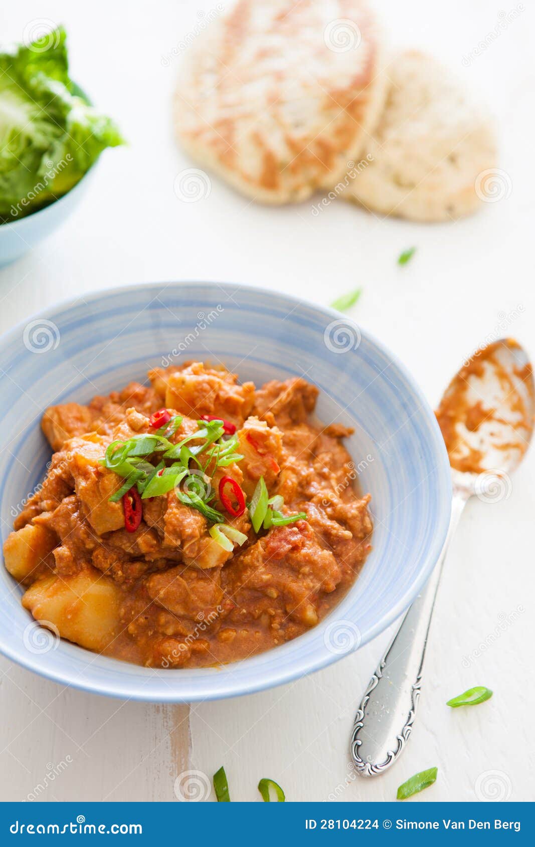 Delicious chicken curry stock photo. Image of slowcooker - 28104224