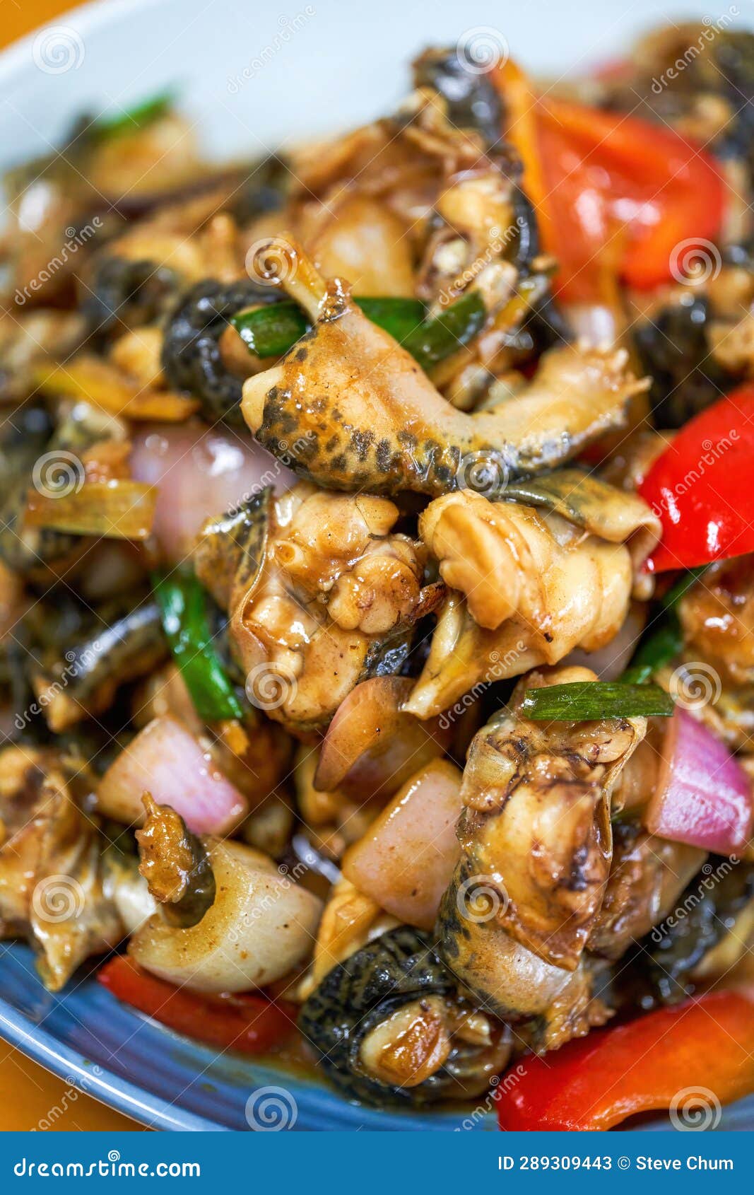 A Delicious Chinese Dish, Fried Bullfrog in Sauce Stock Image - Image ...