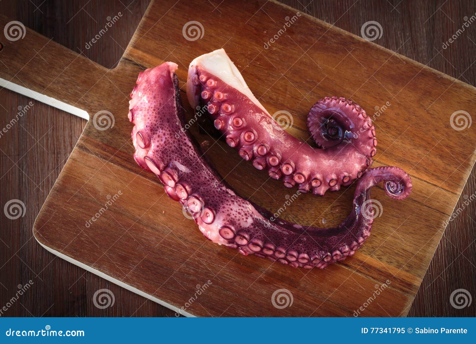Delicious coocked Octopus stock image. Image of macro - 77341795