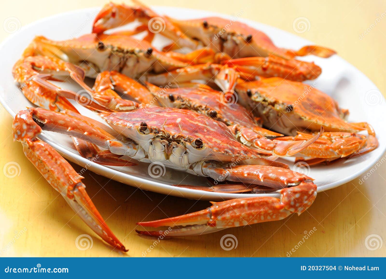 A delicious crab stock photo. Image of fancy, meal, tables - 20327504