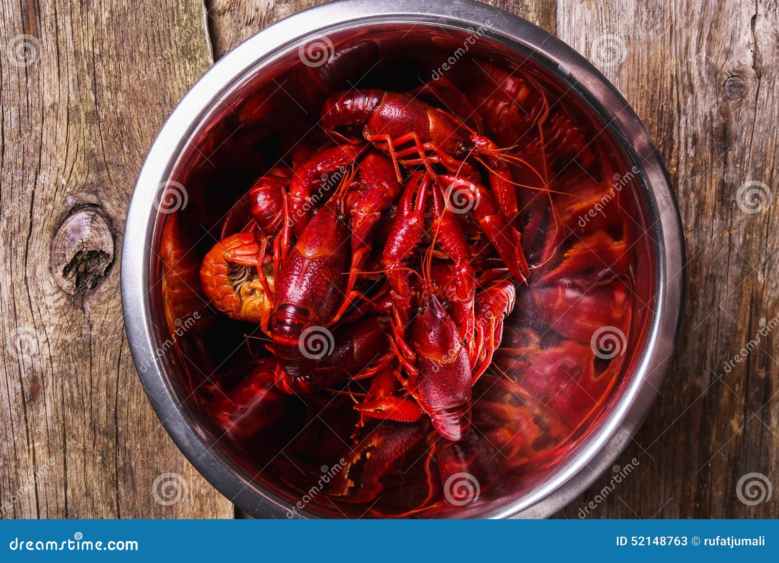 Delicious crayfish stock image. Image of animal, eating - 52148763