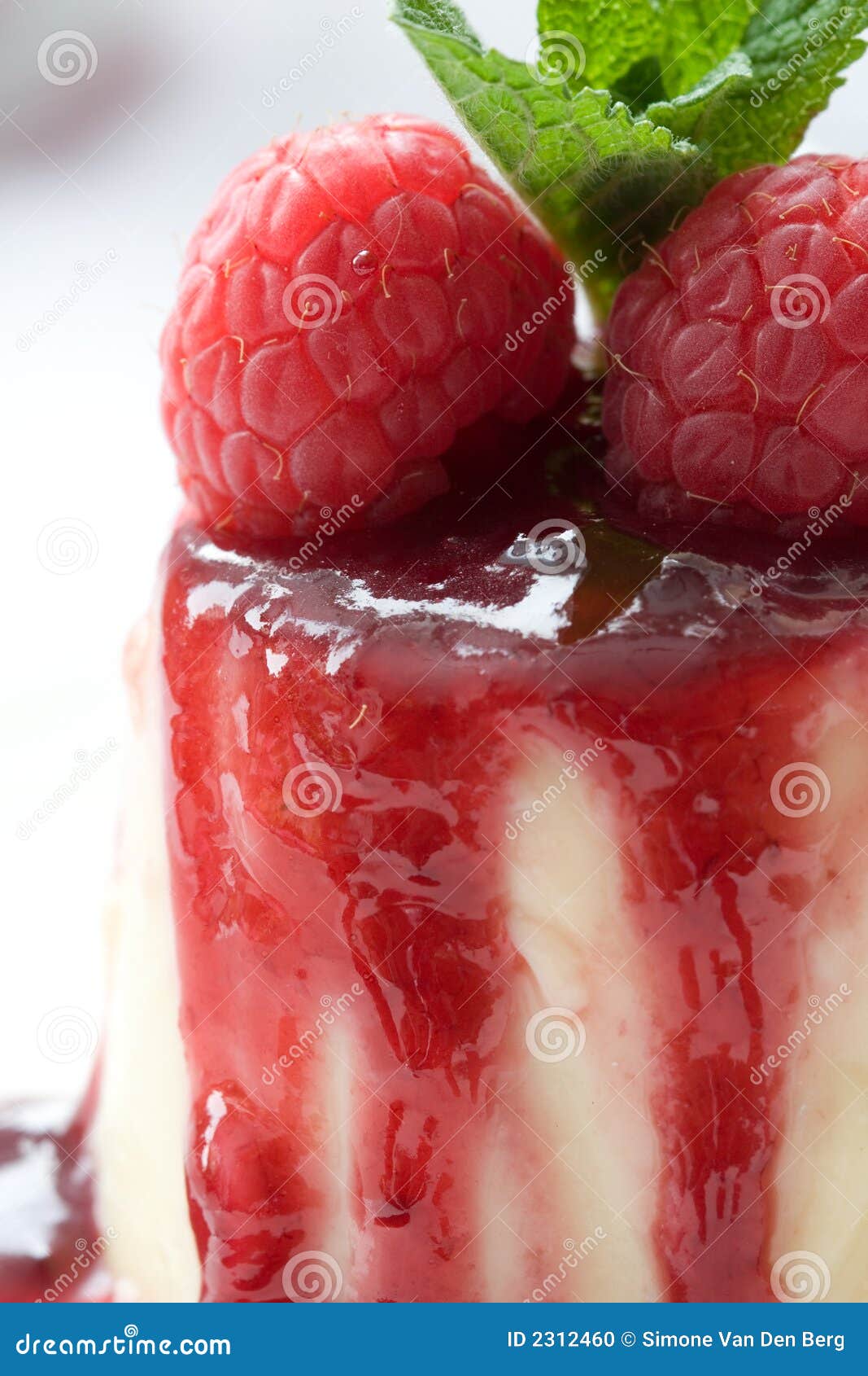 Delicious dessert stock photo. Image of green, sauce, delicious - 2312460