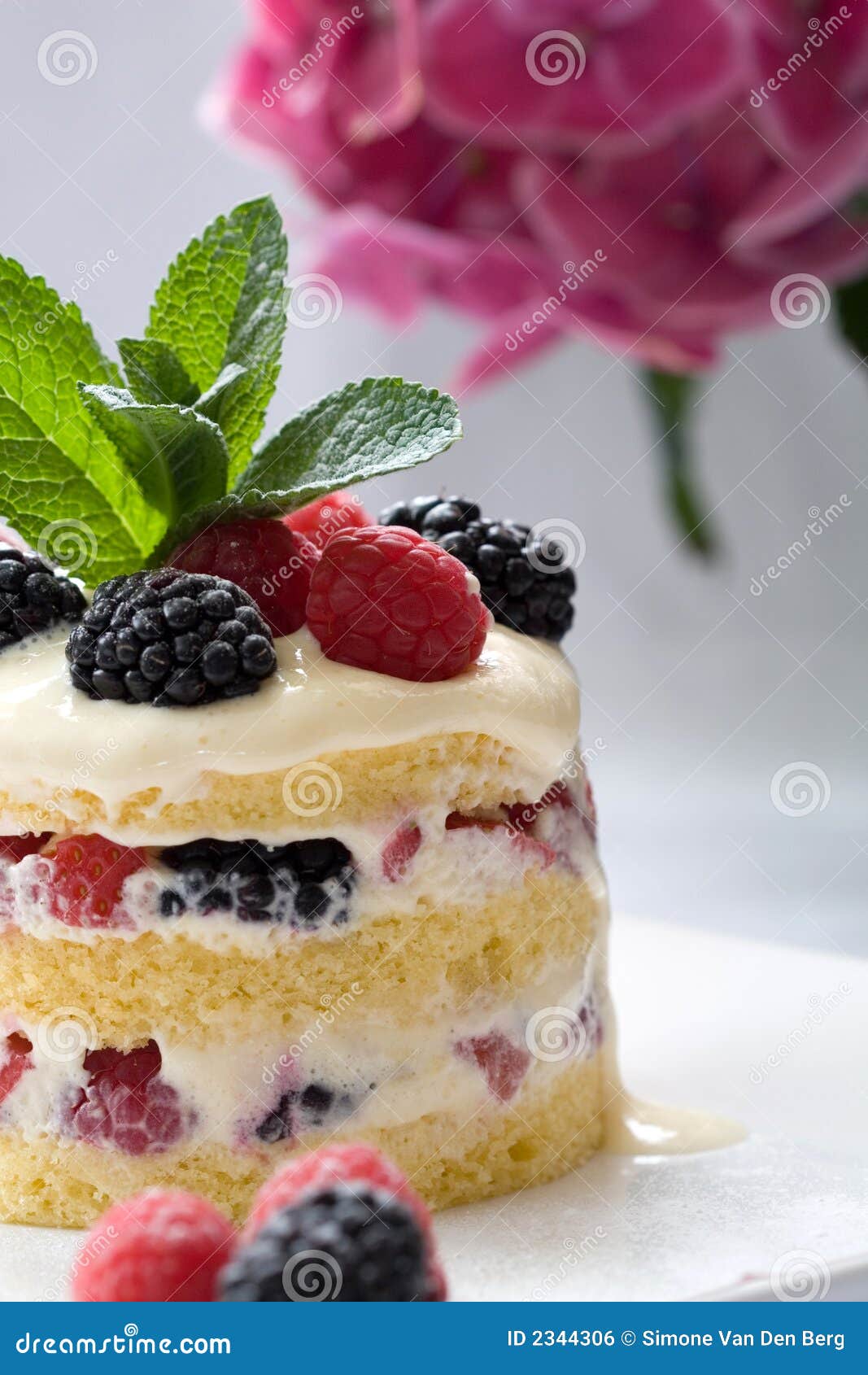 Delicious dessert stock photo. Image of baking, dessert - 2344306