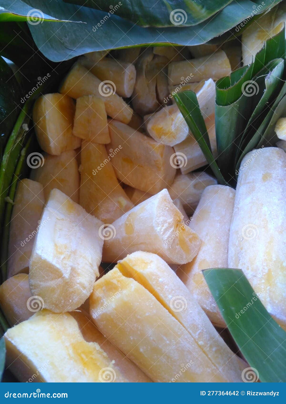Delicious Fermented Cassava Stock Photo - Image of plant, cuisine ...
