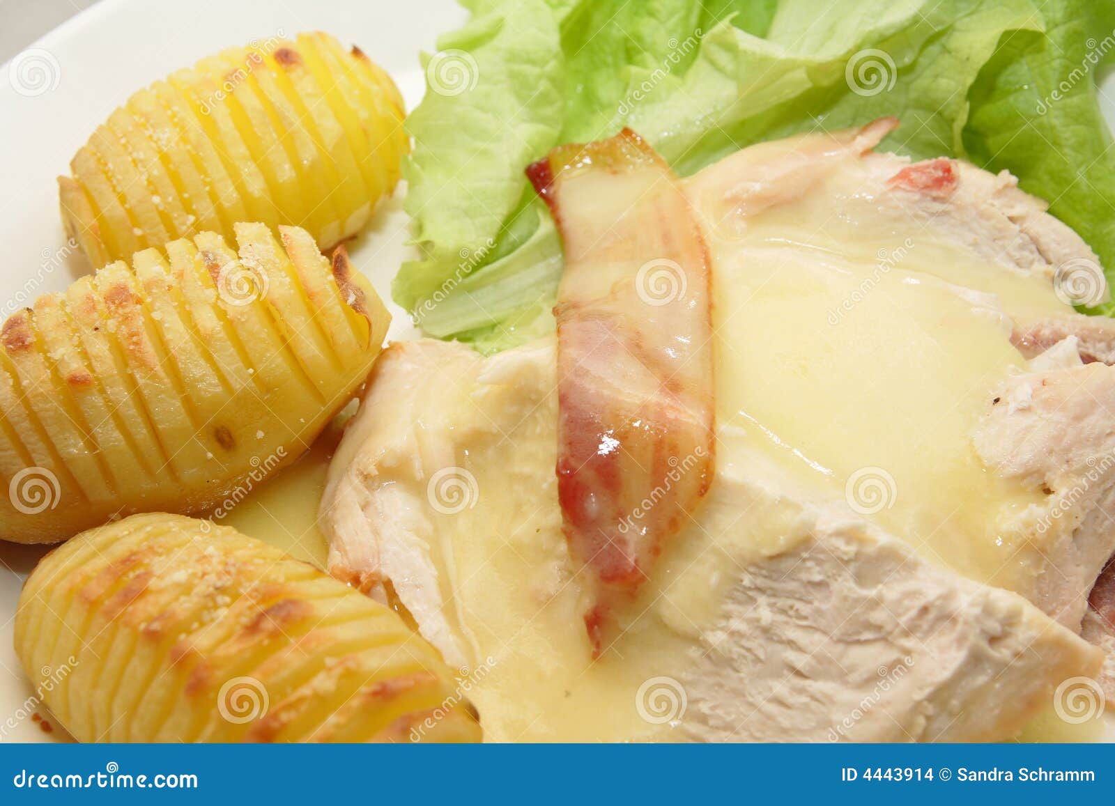 Delicious food stock photo. Image of sauce, healthy, restaurant - 4443914