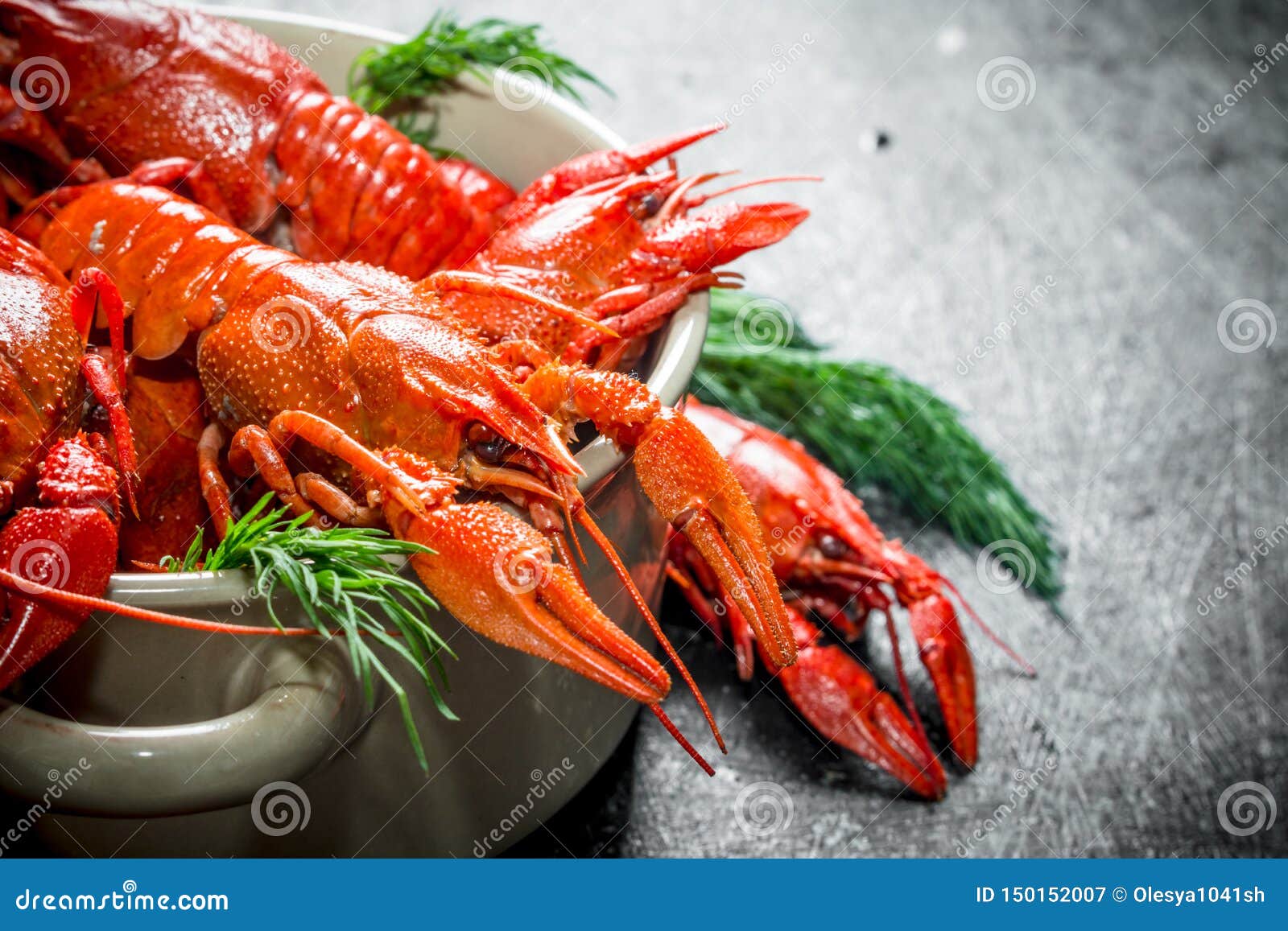 Delicious Fragrant Boiled Crayfish with Dill Stock Image - Image of ...