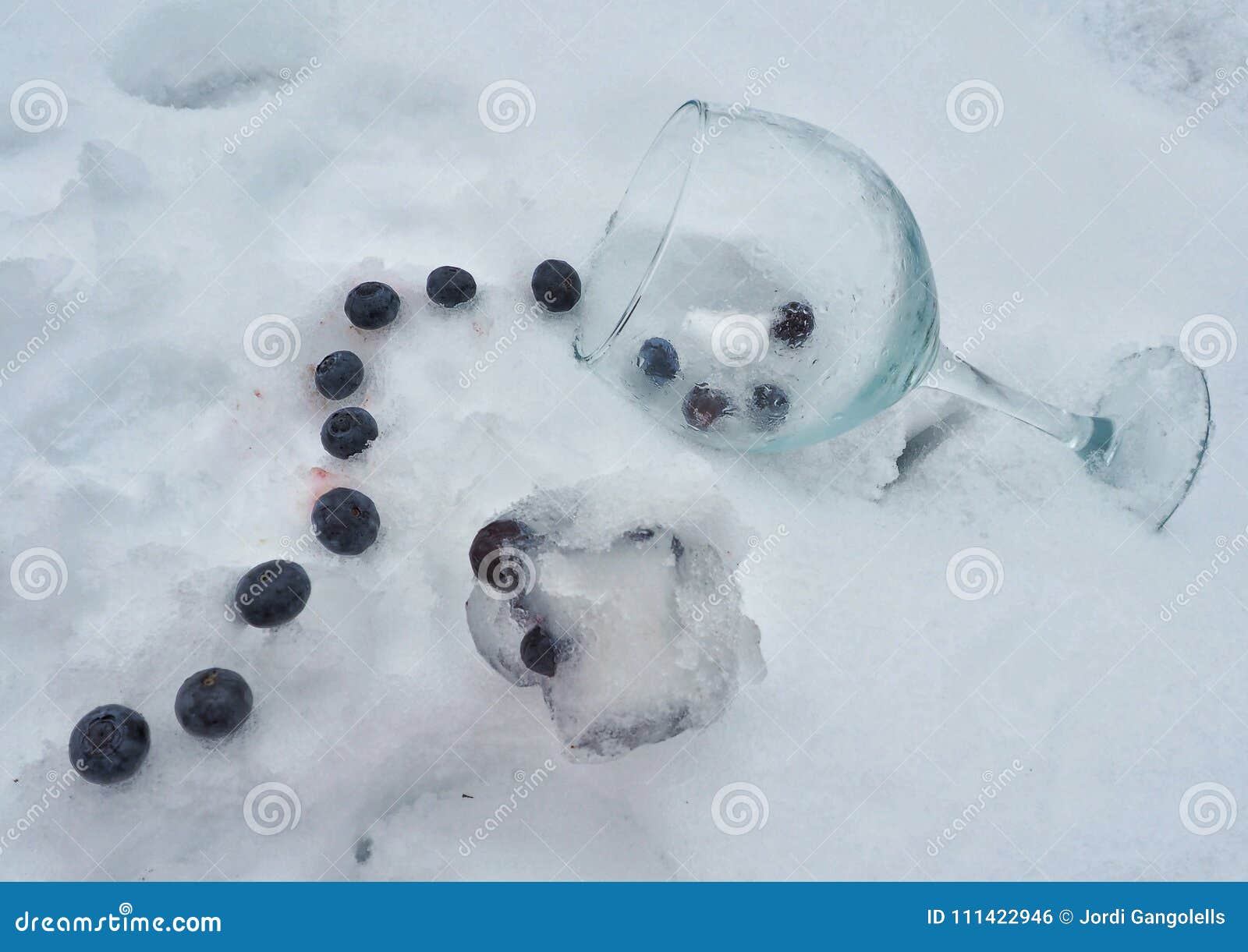 Blueberry in the snow stock photo. Image of vegan, snow - 111422946