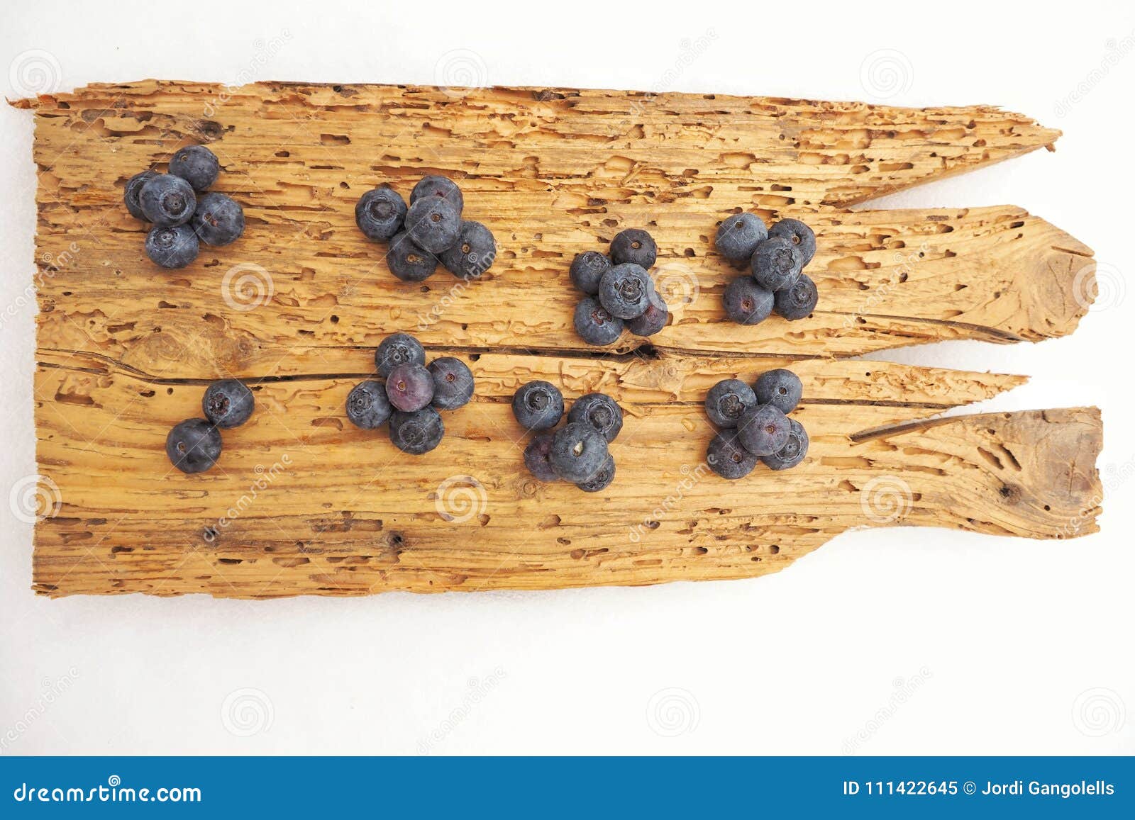 Blueberry in the snow stock image. Image of snow, food - 111422645