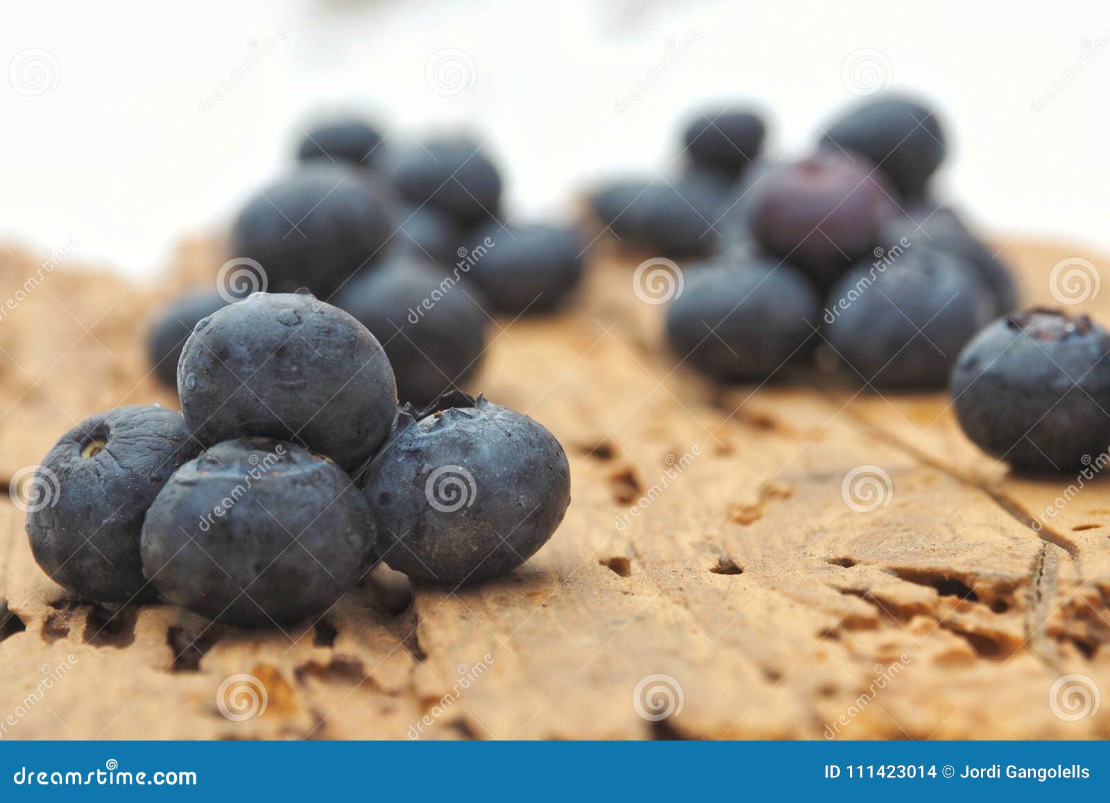 Blueberry in the snow stock photo. Image of winter, fresh - 111423014