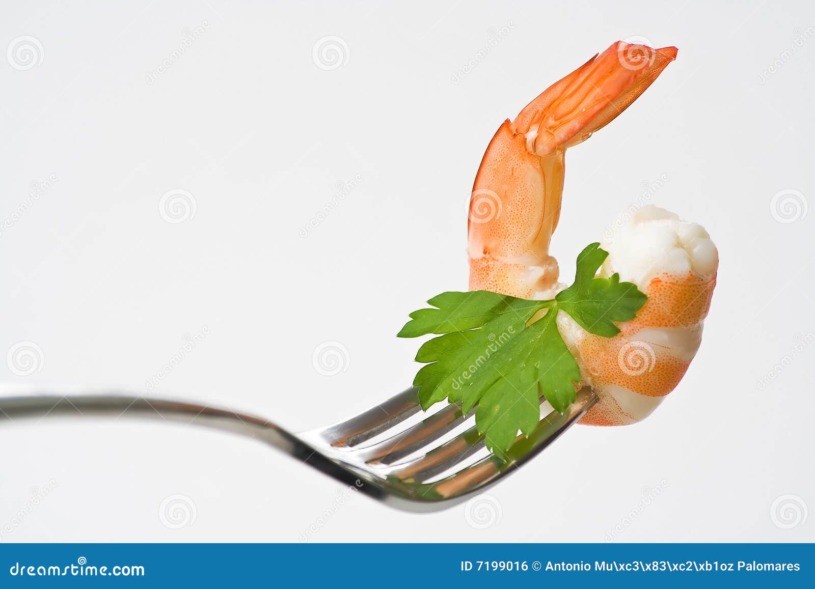 Delicious Fresh Cooked Shrimp Prepared Stock Photo - Image of salad ...