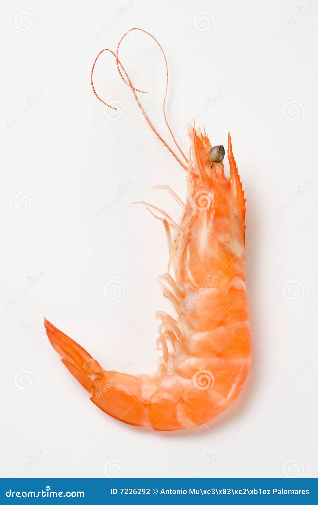Delicious Fresh Cooked Shrimp Prepared Stock Photo - Image of carve ...