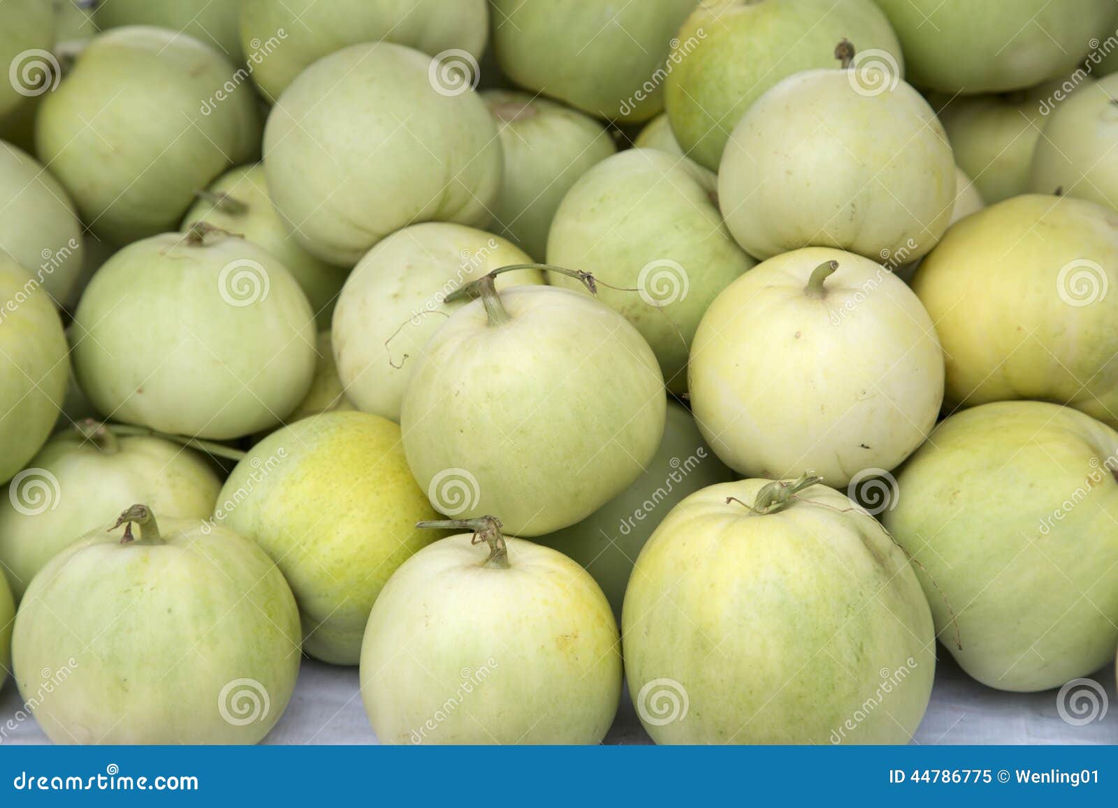 Delicious fresh melon stock image. Image of fresh, agriculture - 44786775
