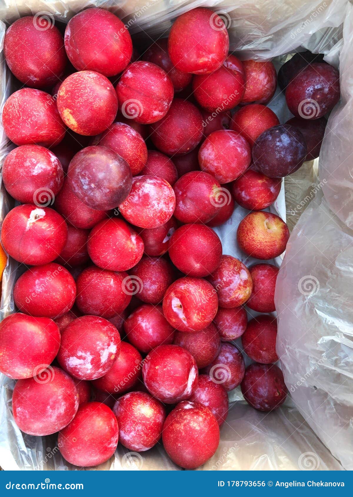 Delicious Fresh Red Plums on the Market View Stock Photo - Image of ...