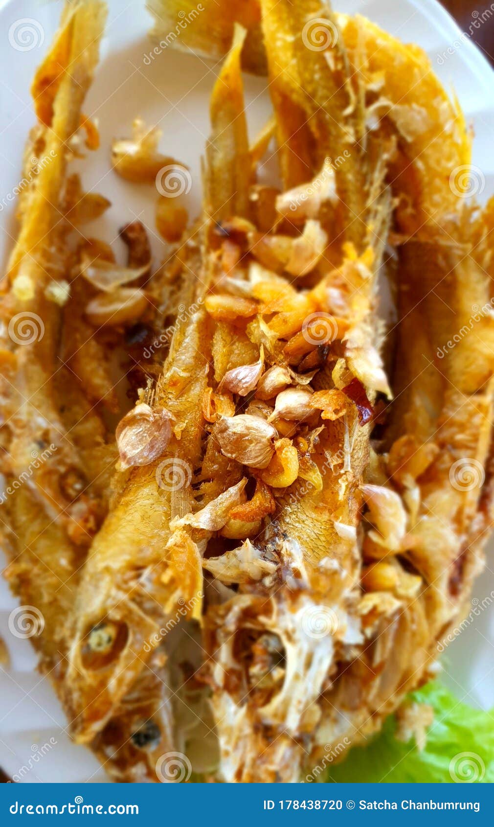 Delicious fried fish stock photo. Image of breakfast - 178438720