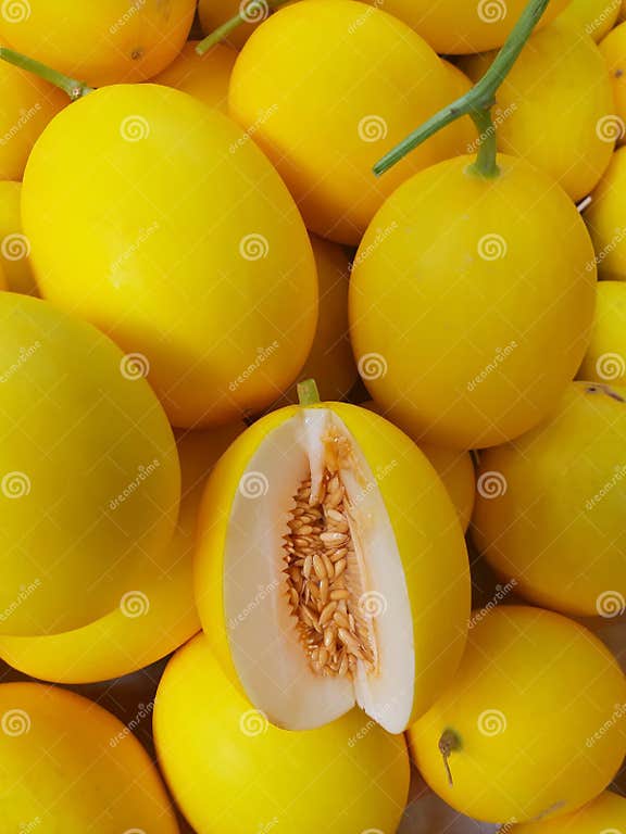 Delicious Gold Melon stock photo. Image of orange, strawberry - 209796770