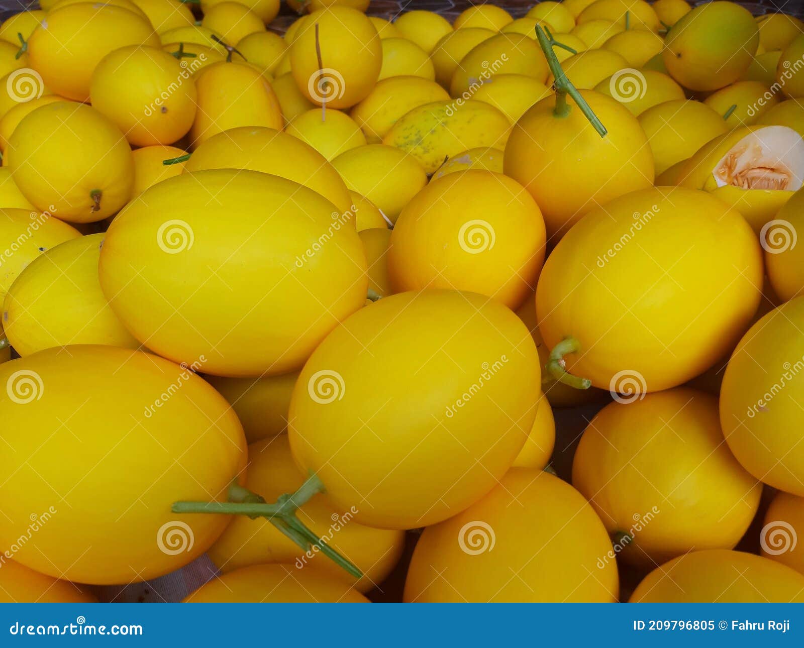 Delicious Gold Melon stock image. Image of produce, juice - 209796805
