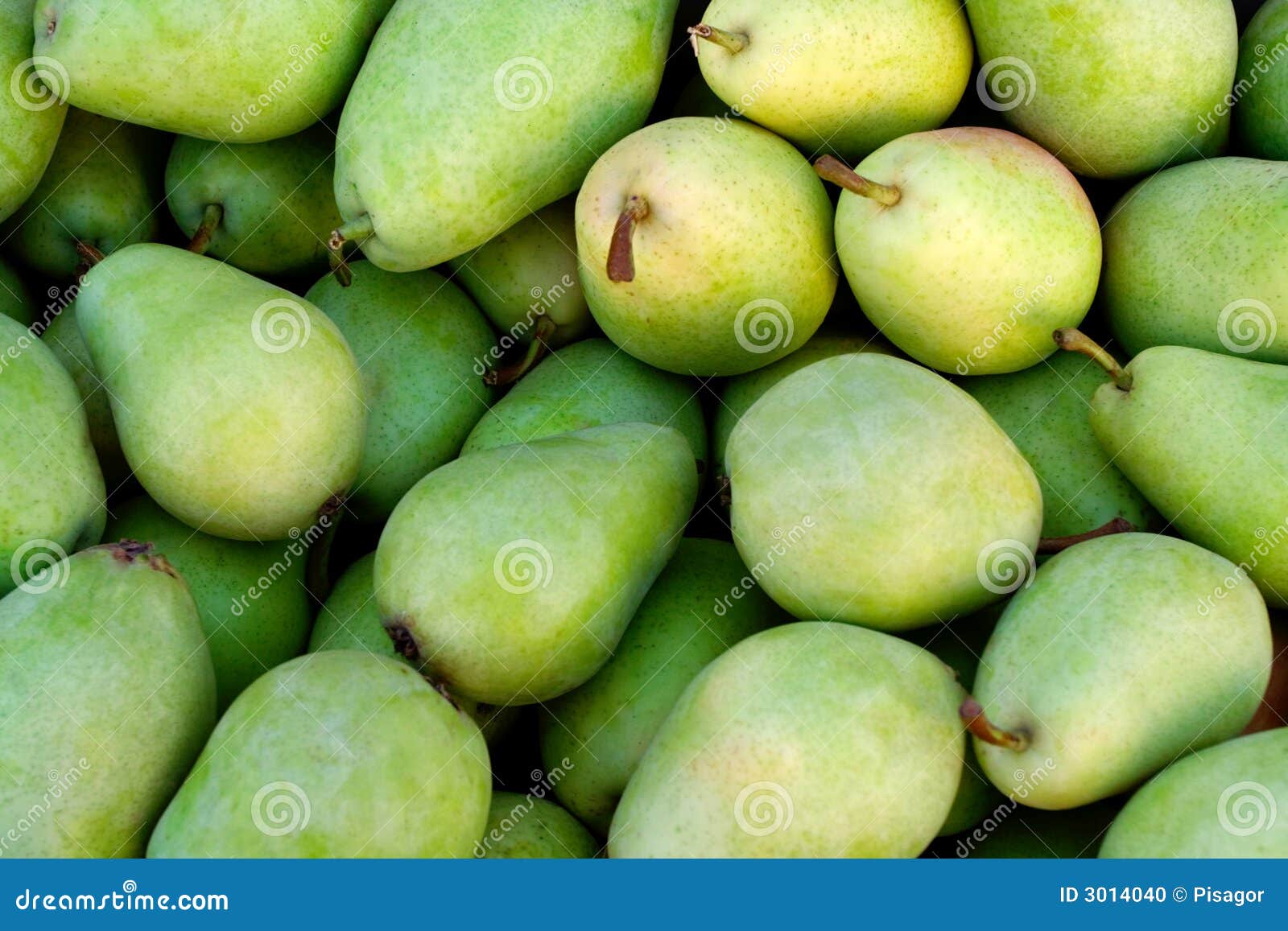 Delicious green pears stock photo. Image of fresh, nutritious - 3014040