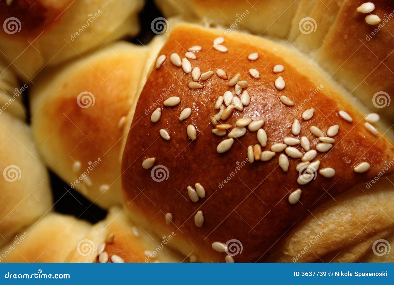 Delicious home made food stock image. Image of dessert - 3637739