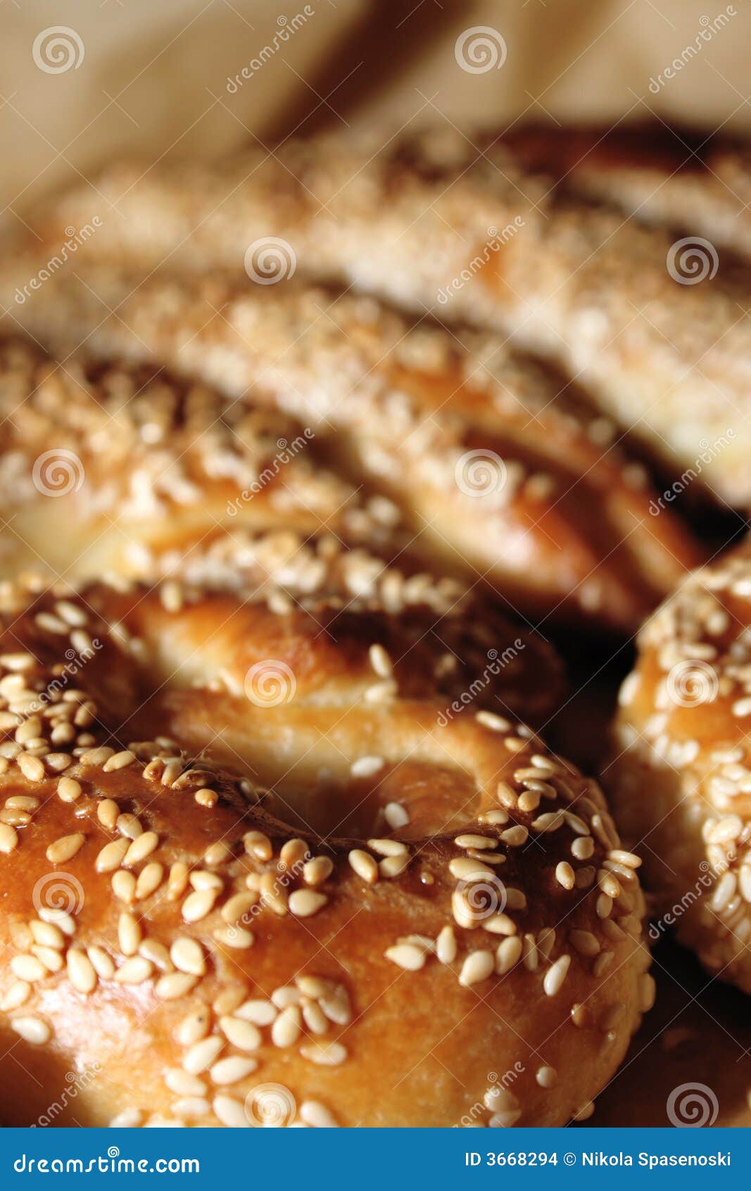 Delicious home made food stock photo. Image of brown, appetizing - 3668294