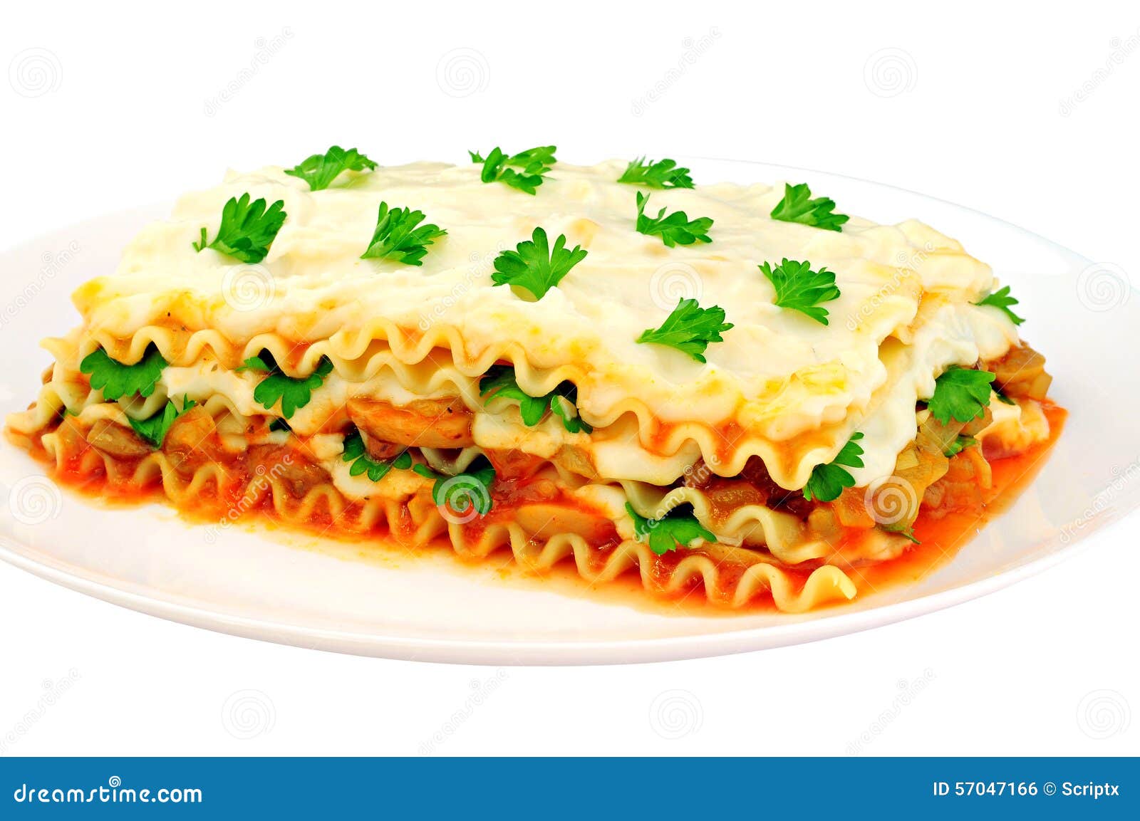 Delicious Lasagna Slice on a Plate Stock Photo - Image of dinner, dish ...