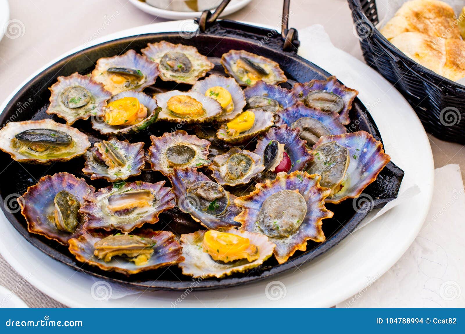 Limpets fried on the pan stock photo. Image of gourmet - 104788994