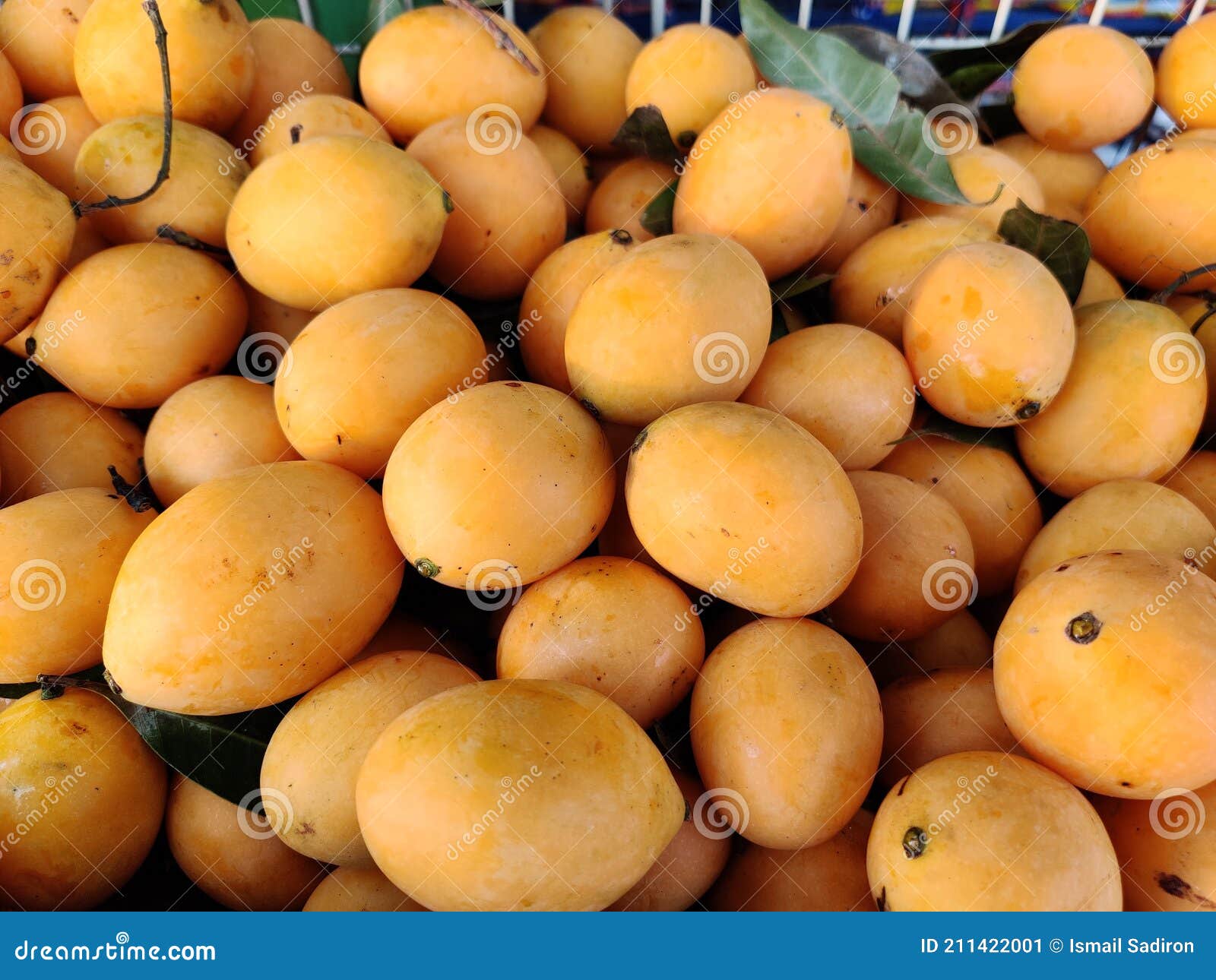 Delicious Malay Buah Kundang Fruit Stock Image - Image of delicious ...