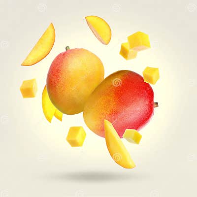 Delicious Mango Fruits Falling on White Background Stock Image - Image ...