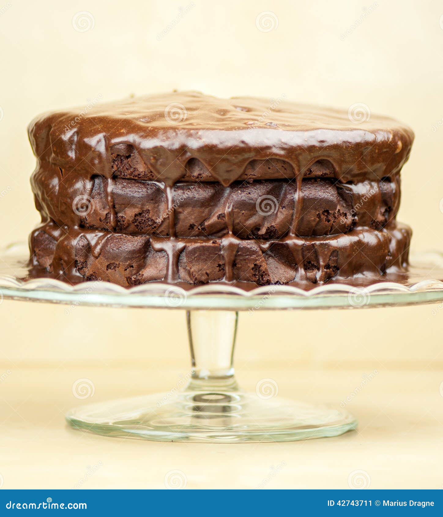 Delicious Melted Chocolate Cake Stock Image - Image of bake, delicious ...