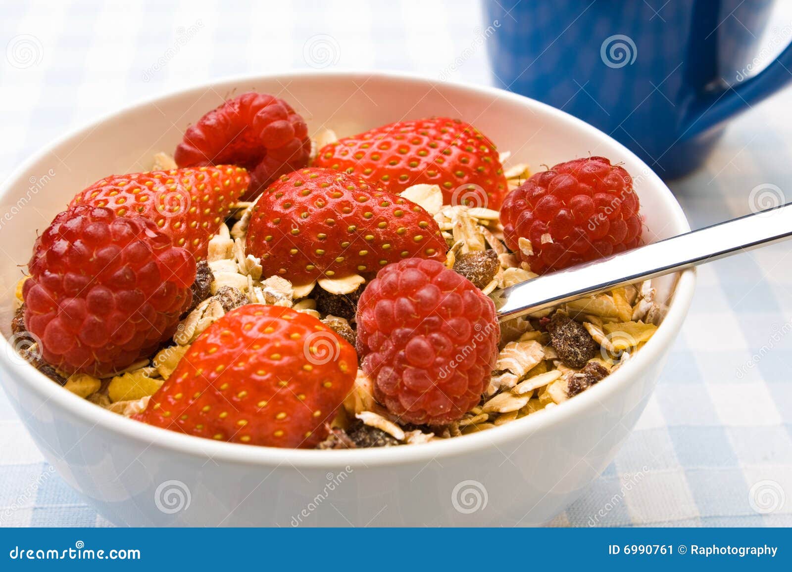 Delicious Muesli with Fruit Stock Image - Image of serve, meal: 6990761