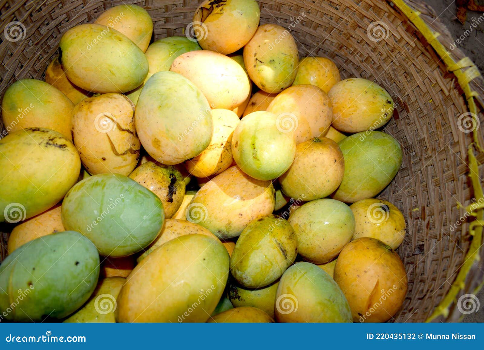 Delicious Organic Fresh Mango Display on Basket Stock Photo - Image of ...