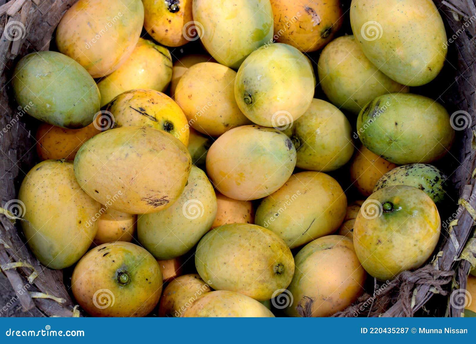 Delicious Organic Fresh Mango Display on Basket Stock Image - Image of ...