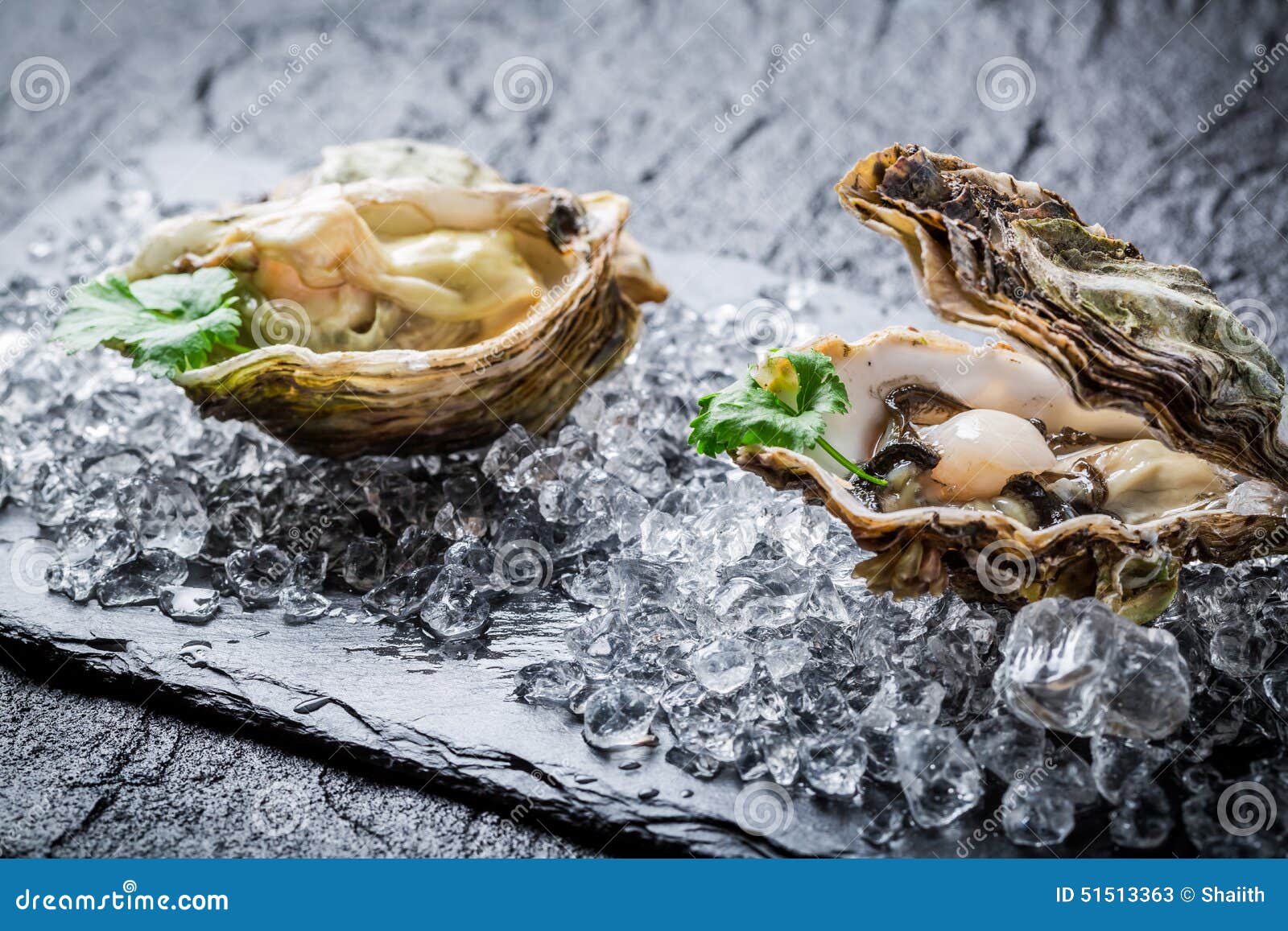 Delicious oyster in shell stock image. Image of crustacean - 51513363