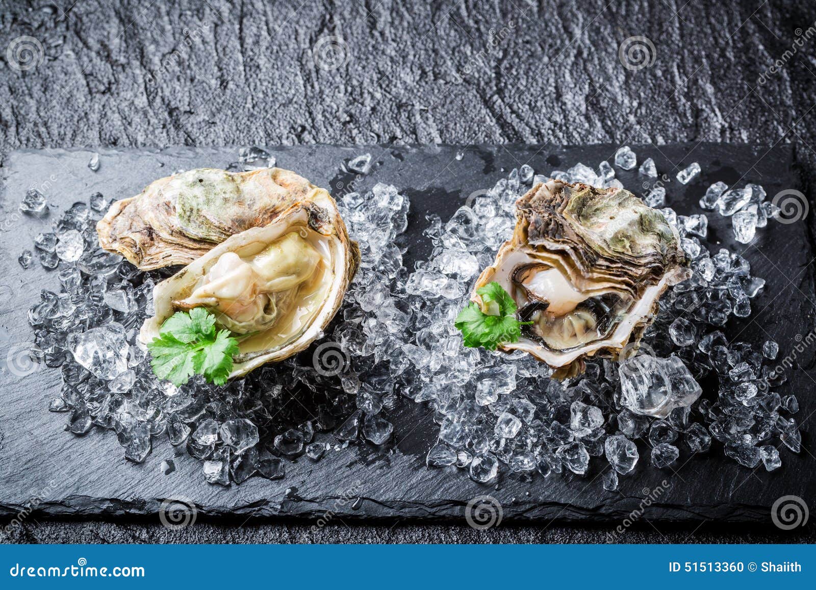 Delicious Oyster in Shell on Crushed Ice Stock Photo - Image of lemon ...