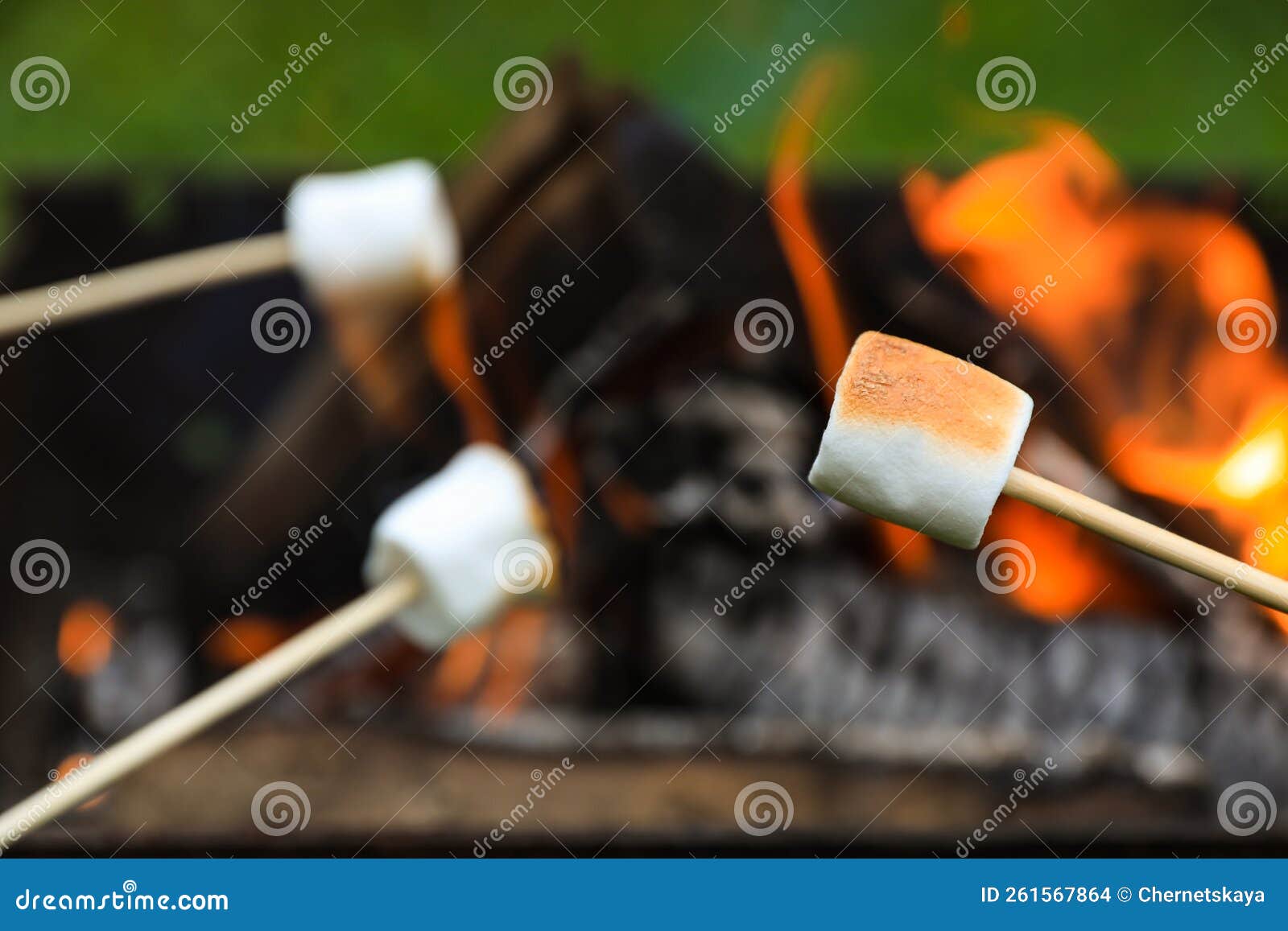 Delicious Puffy Marshmallows Roasting Over Bonfire, Closeup. Space for ...
