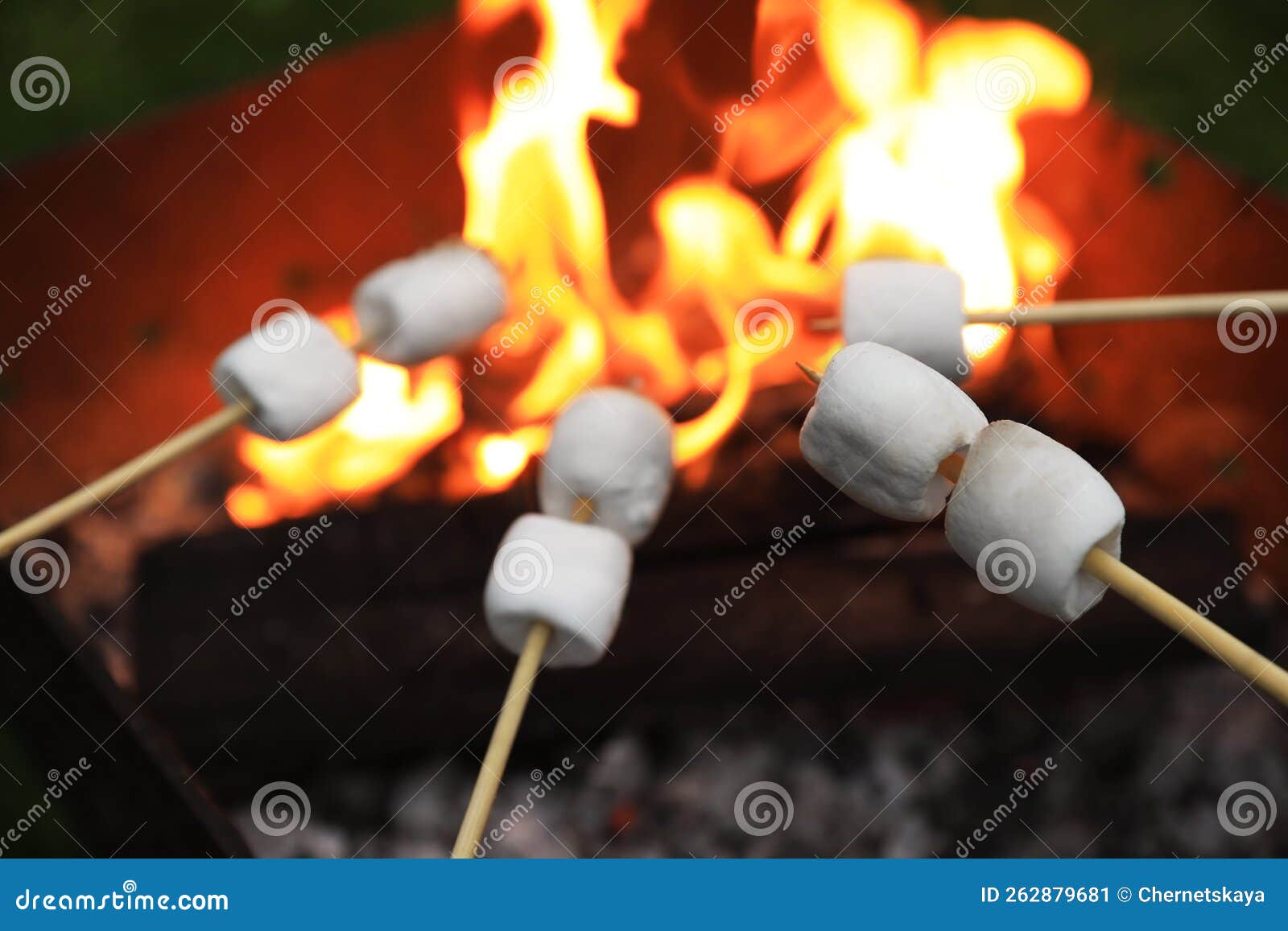 Delicious Puffy Marshmallows Roasting Over Bonfire, Closeup. Space for ...