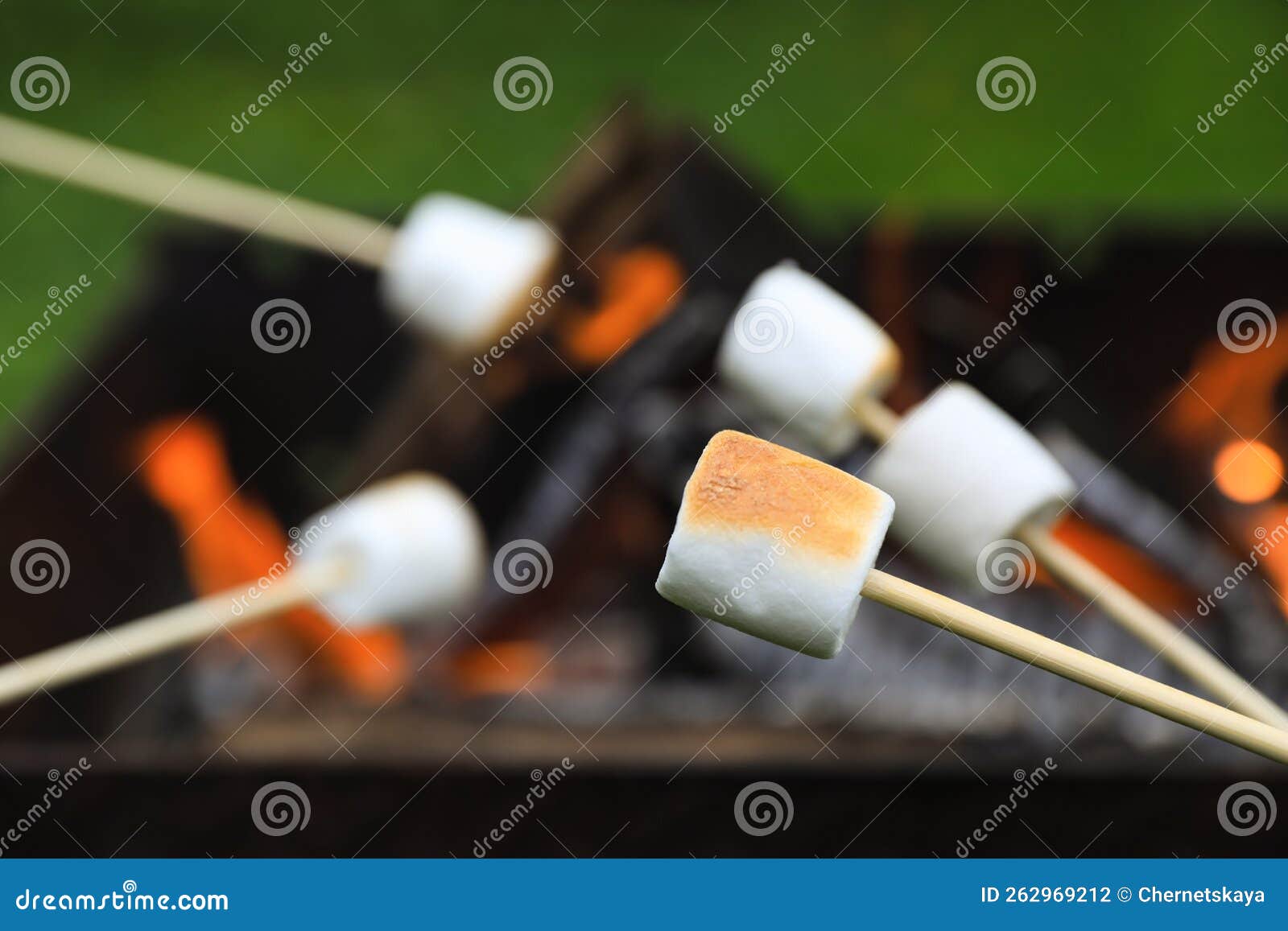 Delicious Puffy Marshmallows Roasting Over Bonfire, Closeup. Space for ...