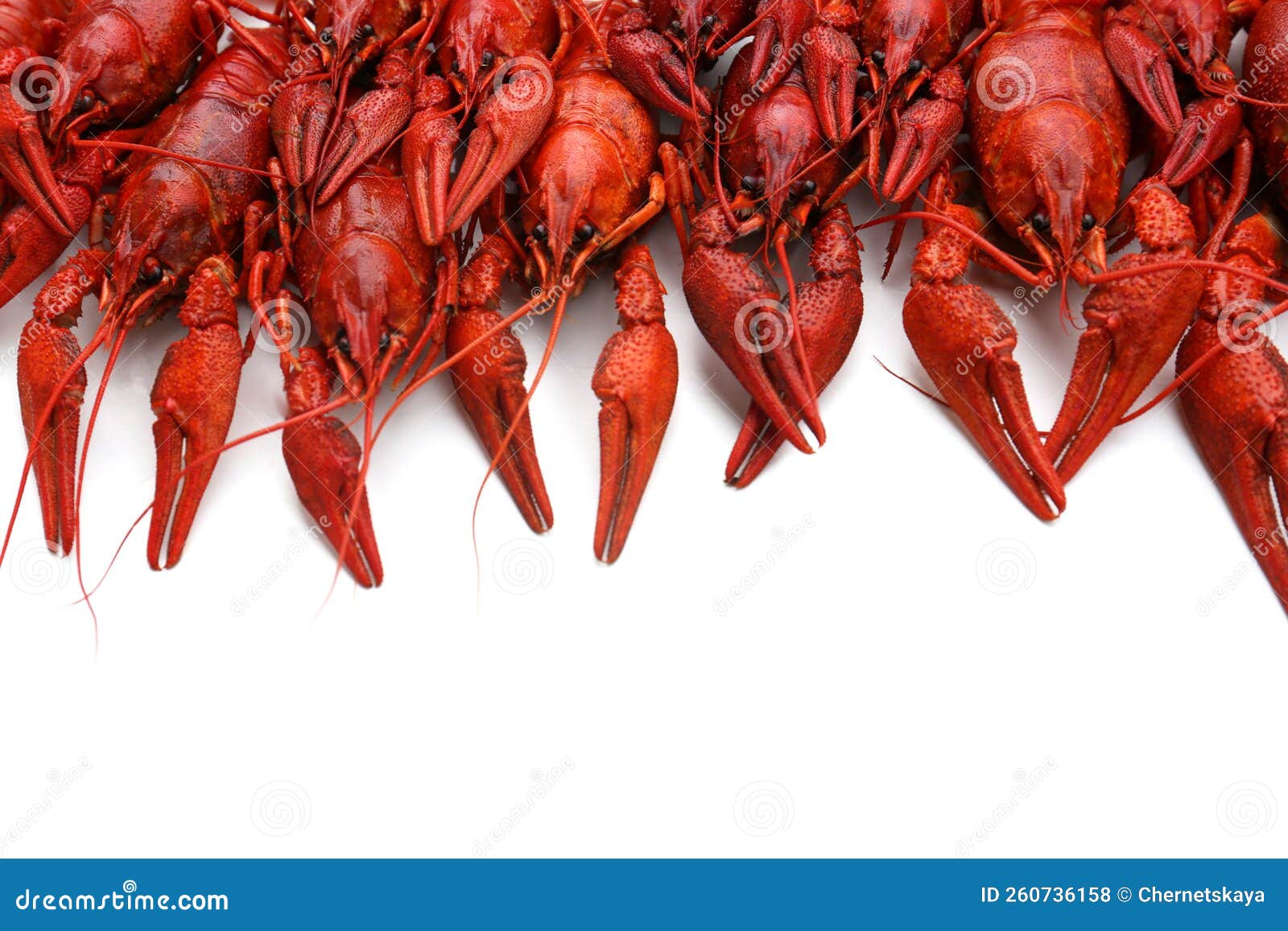 Delicious Red Boiled Crayfish on White Background Stock Photo - Image ... Delicious Red Boiled Crayfish on White Background Stock Photo - Image ...