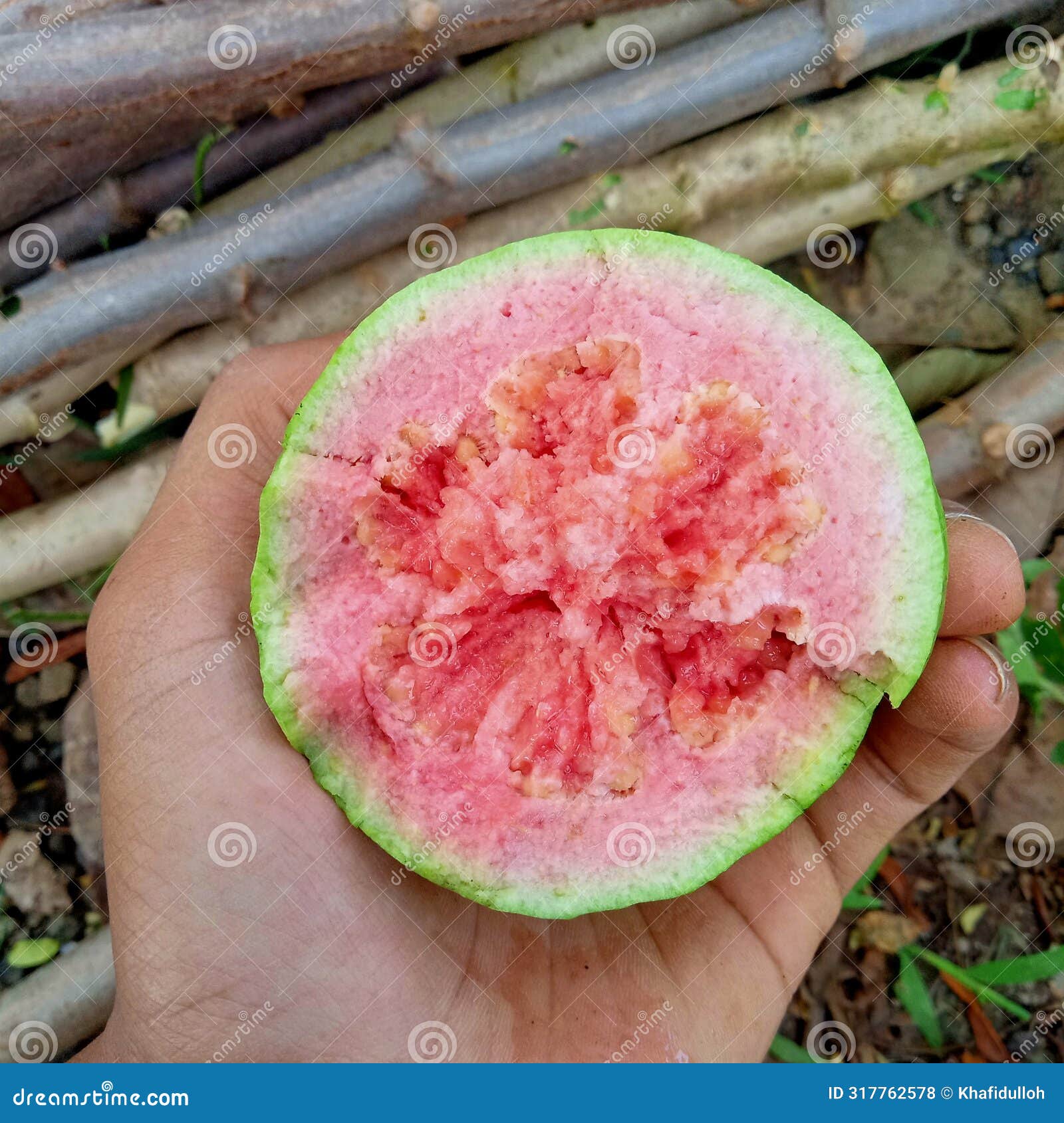 Delicious and Delicious Red Guava Fruit Stock Photo - Image of healthy ...