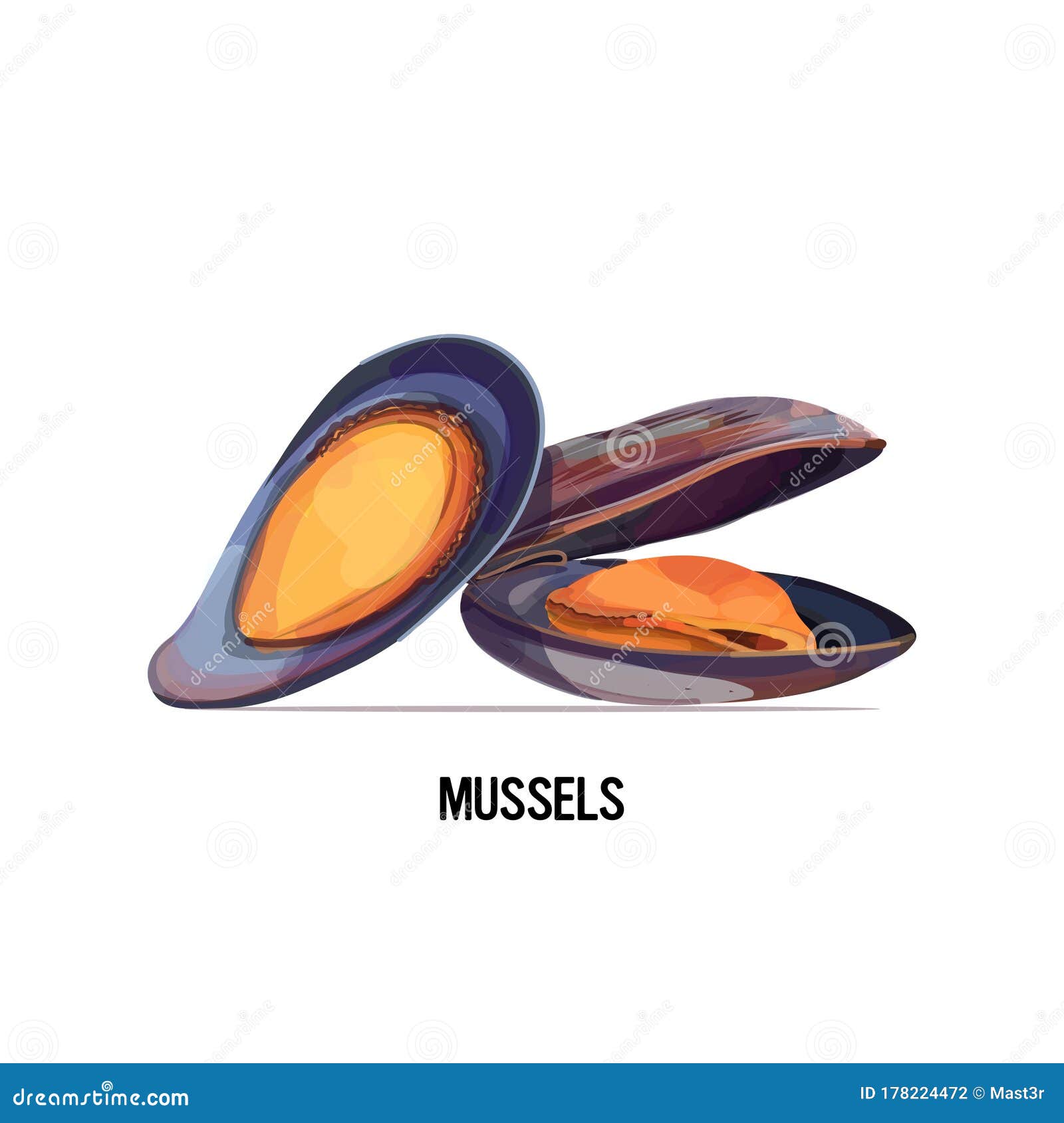 Delicious Seafood Mussels In Shell Isolated On White Background Vector ...