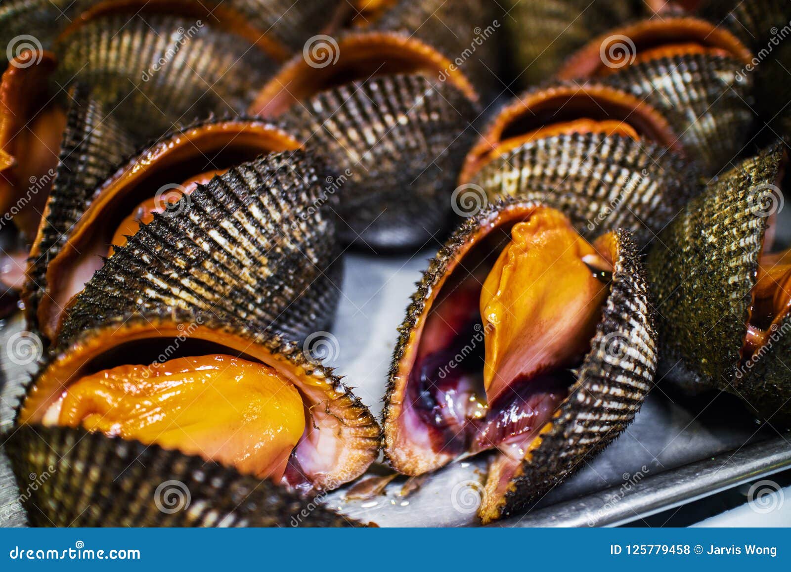 Shellfish stock photo. Image of delicious, ocean, marine - 125779458
