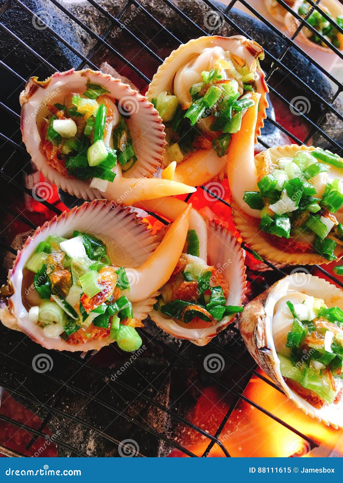 Delicious Shell or Clams Mussels on Hot Fire Coal Grill Stock Image ...