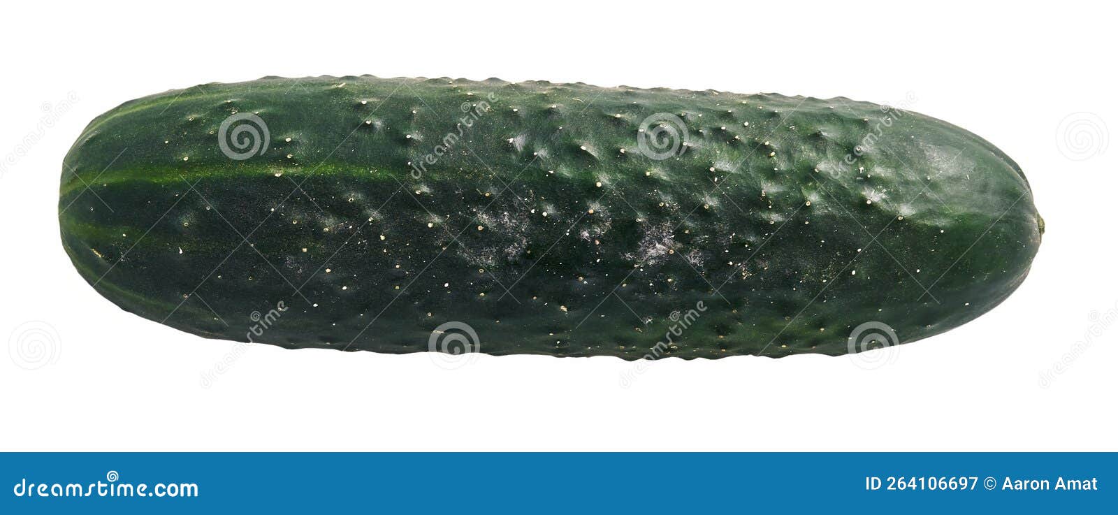 Delicious Single Cucumber Over Isolated White Background Stock Image ...