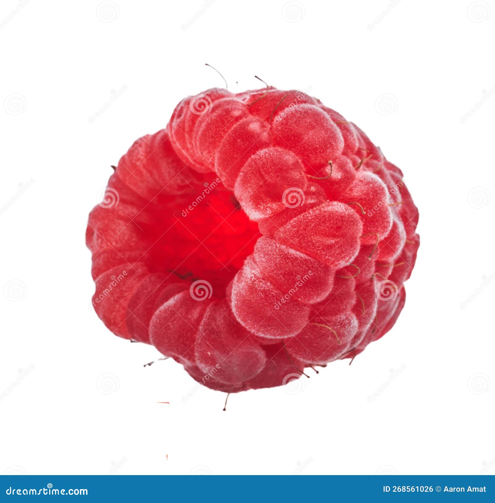 Delicious Single Raspberry Over Isolated White Background Stock Photo ...
